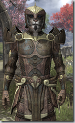 ESO Fashion | Ancient Elf Fell (Elder Scrolls Online)