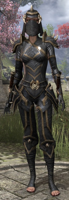 Elder Scrolls Online Bosmer Full-Leather - ESO Fashion