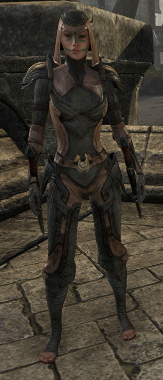 Elder Scrolls Online Bosmer Leather - ESO Fashion