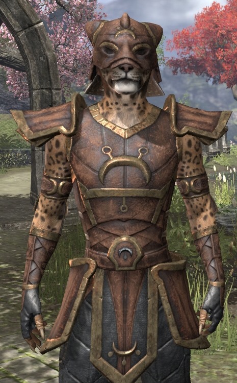 ESO Fashion | Khajiit Leather (Elder Scrolls Online)