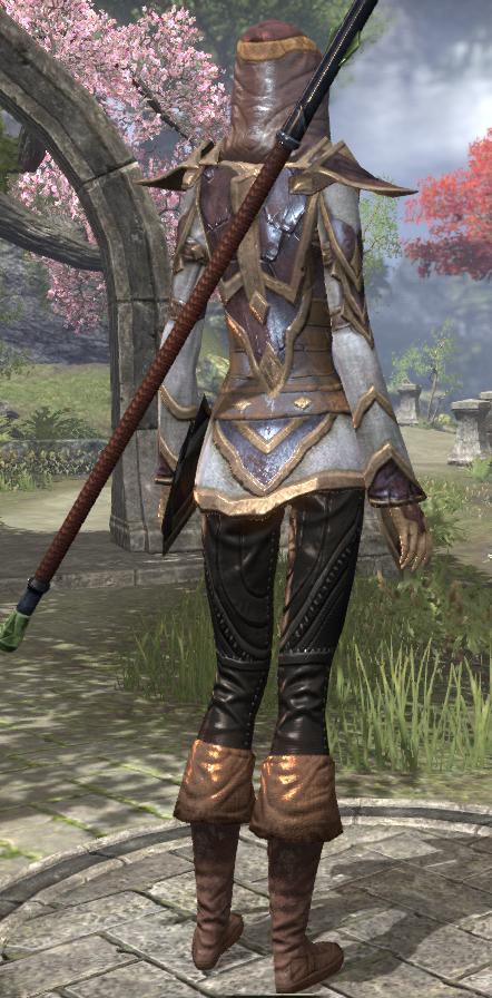 ESO Fashion | Rainbow Starr - EU (Elder Scrolls Online)