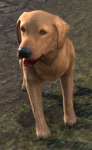 ESO Fashion | Bravil Retriever (Elder Scrolls Online)