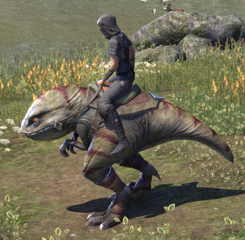 ESO Fashion | Golden Eye Guar (Elder Scrolls Online)