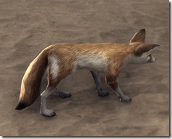 ESO Fashion | Fennec Fox