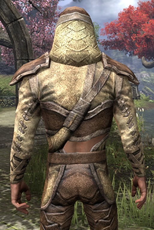 ESO Fashion | Wood Elf Homespun (Elder Scrolls Online)