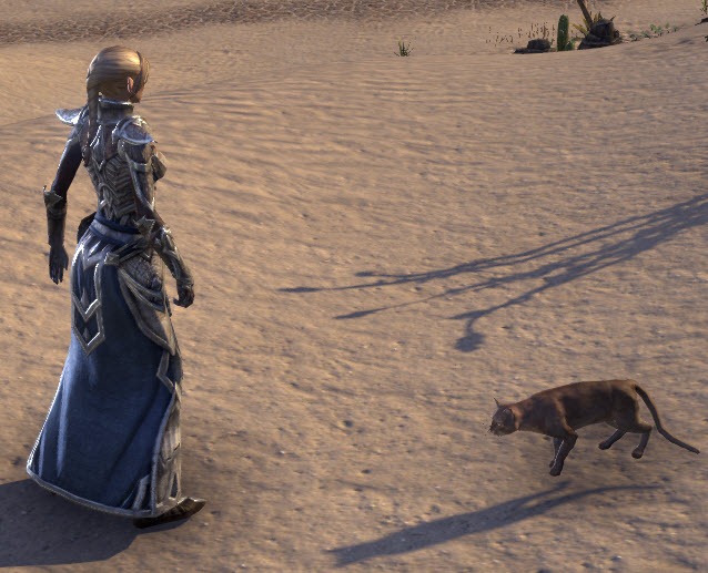 Elder Scrolls Online Abecean Ratter Cat - ESO Fashion