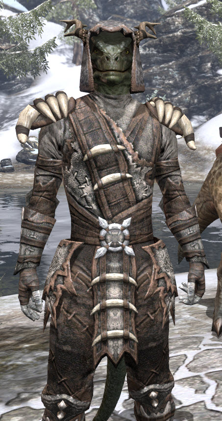 ESO Fashion | Winterborn Hunter's Costume (Elder Scrolls Online)