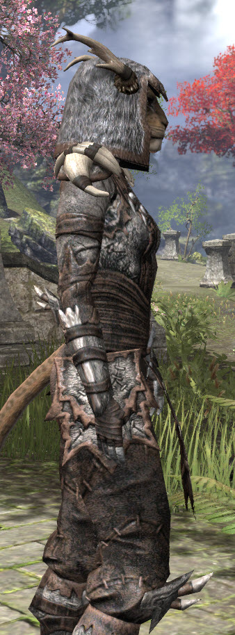 ESO Fashion | Winterborn Hunter's Costume (Elder Scrolls Online)