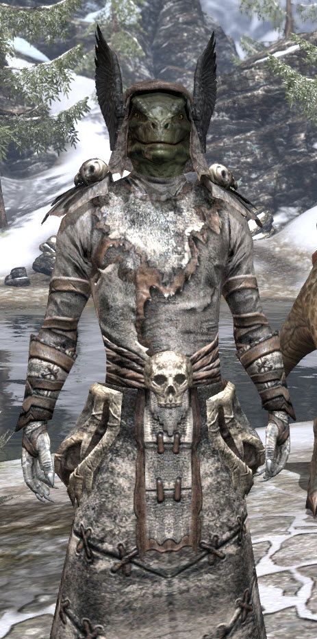 ESO Fashion | Winterborn Shaman's Costume (Elder Scrolls Online)