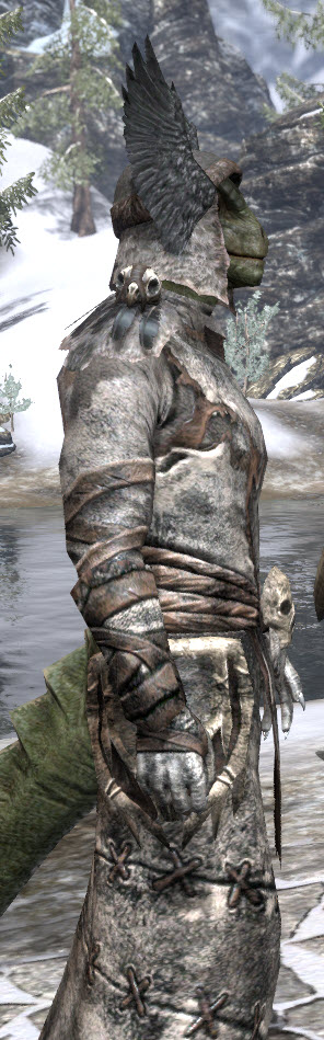 ESO Fashion | Winterborn Shaman's Costume (Elder Scrolls Online)