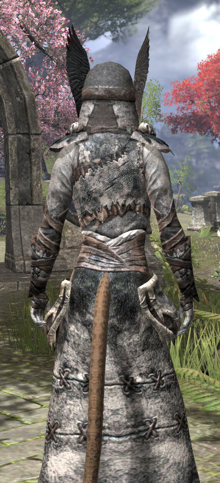 ESO Fashion | Winterborn Shaman's Costume (Elder Scrolls Online)