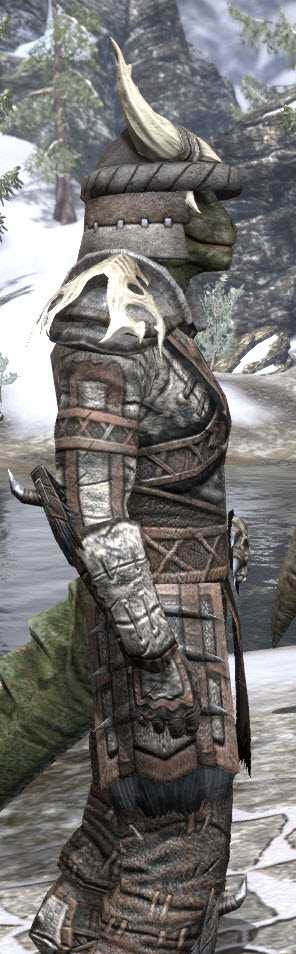 ESO Fashion | Winterborn Warrior's Costume (Elder Scrolls Online)