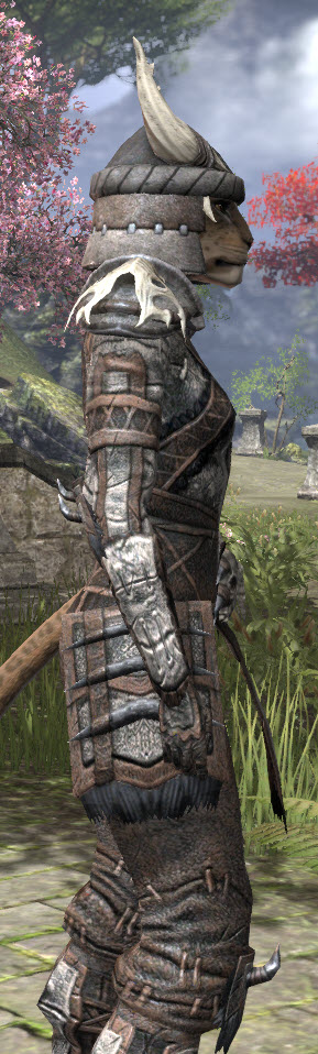 ESO Fashion | Winterborn Warrior's Costume (Elder Scrolls Online)