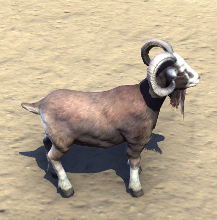 ESO Fashion | Dragontail Goat (Elder Scrolls Online)