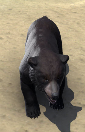 ESO Fashion | Black Bear Cub (Elder Scrolls Online)
