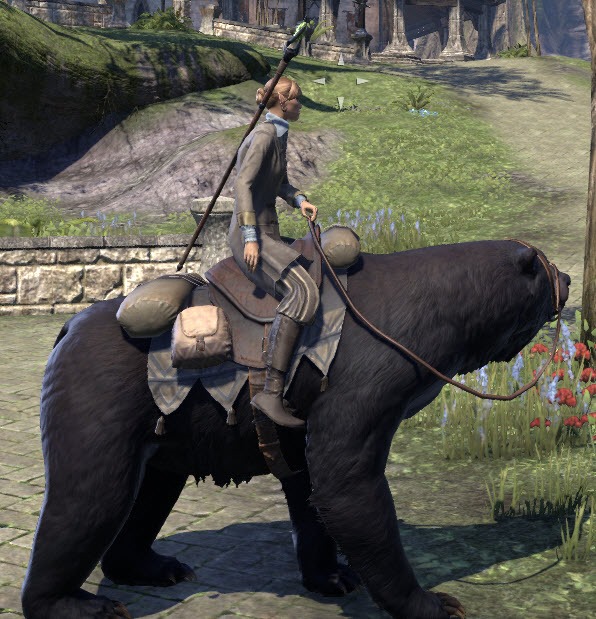 ESO Fashion | Black Bear Mount (Elder Scrolls Online)