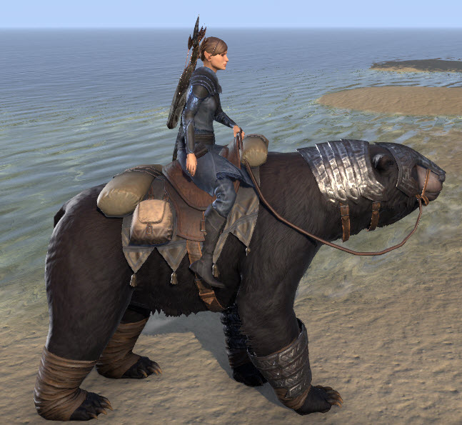 ESO Fashion | Black Bear (Elder Scrolls Online)