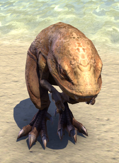 ESO Fashion | Freckled Guar (Elder Scrolls Online)