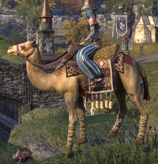 ESO Fashion | Hammerfell Camel (Elder Scrolls Online)