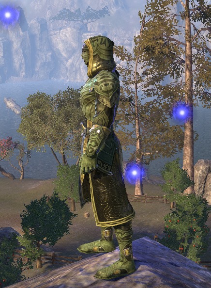 ESO Fashion | Worm's Raiment (Elder Scrolls Online)