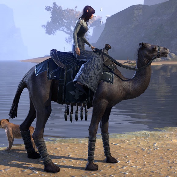 ESO Fashion | Black Camel of Ill Omen (Elder Scrolls Online)