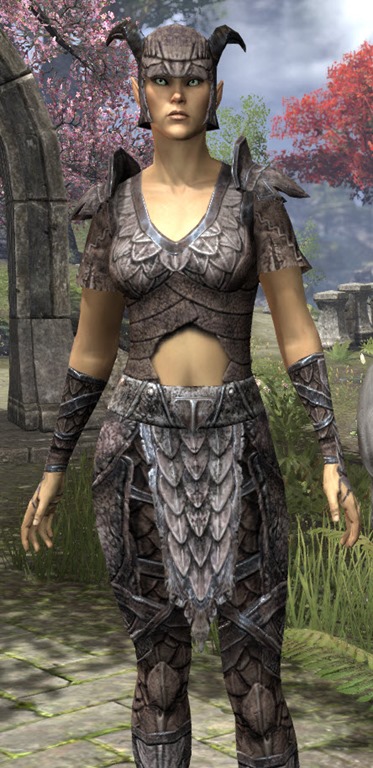 Eso Fashion Wood Elf Iron Elder Scrolls Online