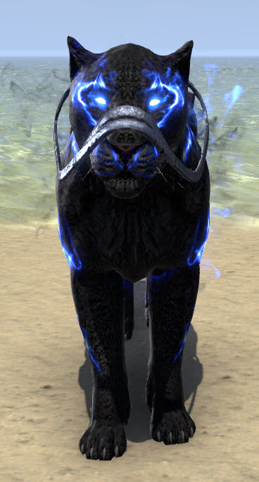 ESO Fashion | Dro-m'Athra Senche (Elder Scrolls Online)