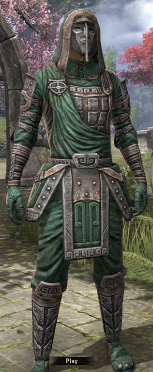 Is there a light armor chest that matches the robe in the picture? : r ...