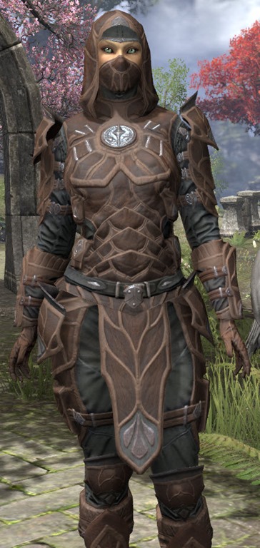 ESO Fashion | Thieves Guild Rawhide (Elder Scrolls Online)