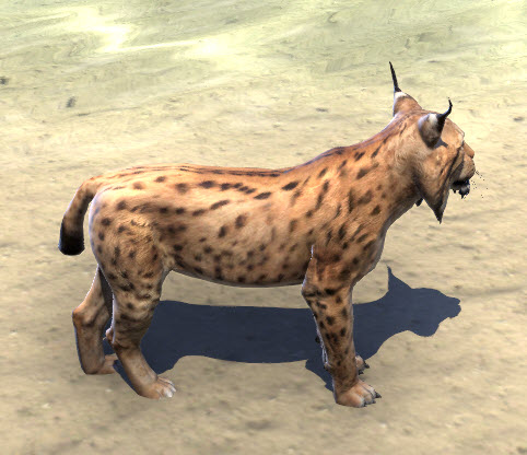 ESO Fashion | Northern Lynx (Elder Scrolls Online)