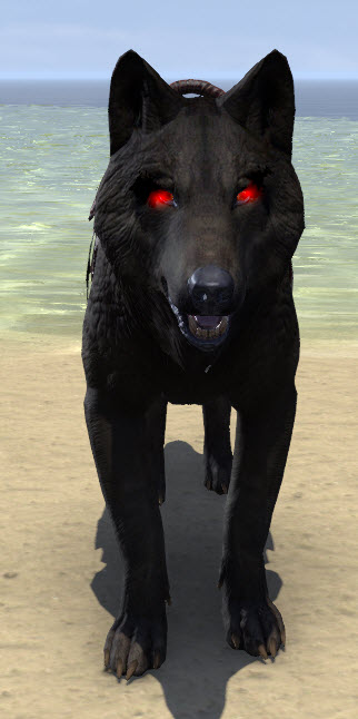 ESO Fashion | Doom Wolf (Elder Scrolls Online)