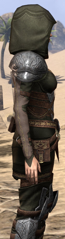 ESO Fashion | Elven Hero Armor (Elder Scrolls Online)