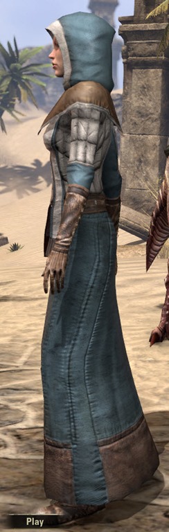 ESO Fashion | Mages Guild Research Robes (Elder Scrolls Online)