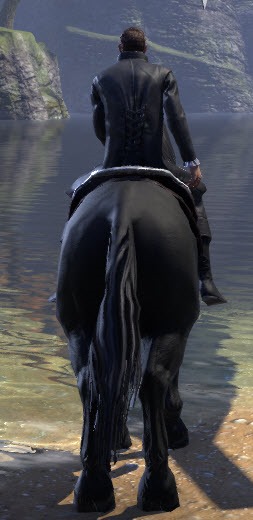 ESO Fashion | Midnight Steed (Elder Scrolls Online)