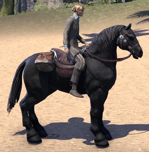 ESO Fashion | Midnight Steed (Elder Scrolls Online)