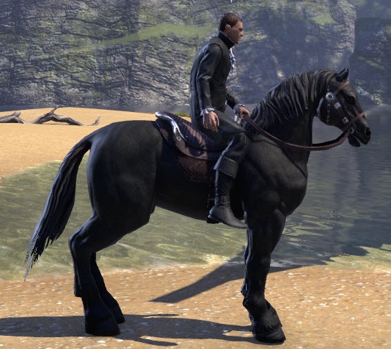 ESO Fashion | Midnight Steed (Elder Scrolls Online)