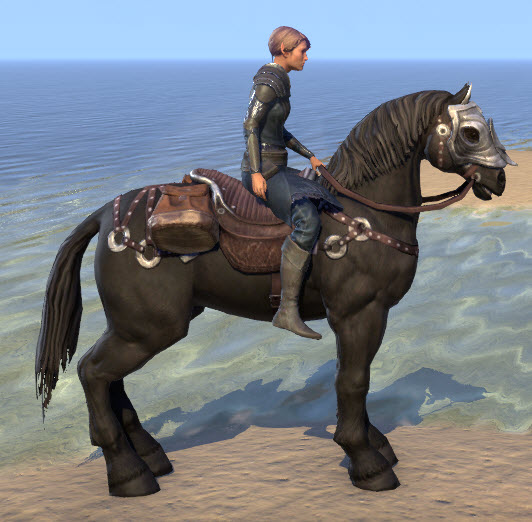 ESO Fashion | Midnight Steed (Elder Scrolls Online)