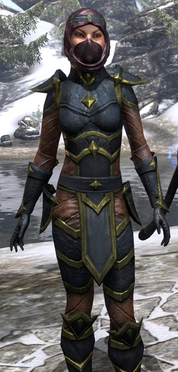 ESO Fashion | Naryu's Assassin's Armor (Elder Scrolls Online)