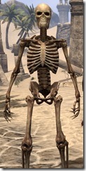ESO Fashion | Skeleton (Elder Scrolls Online)