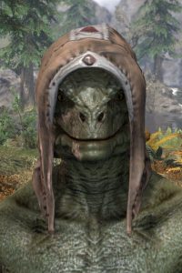 ESO Fashion | Traditional Wizard's Cowl (Elder Scrolls Online)