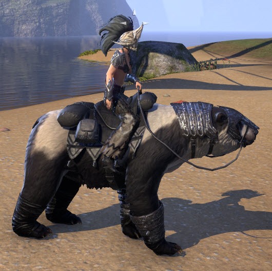 ESO Fashion | Masked Bear (Elder Scrolls Online)