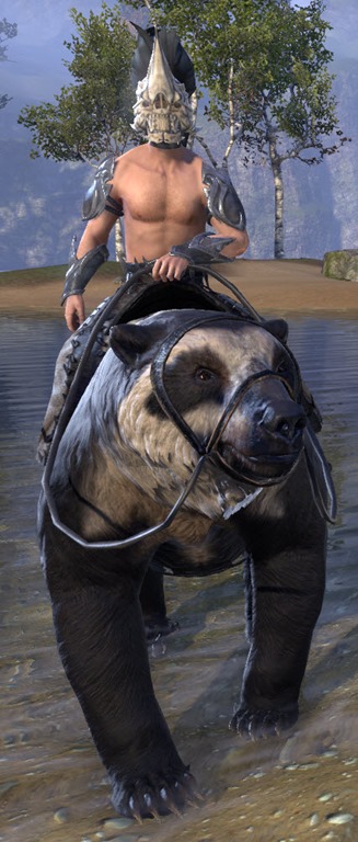 ESO Fashion | Masked Bear (Elder Scrolls Online)