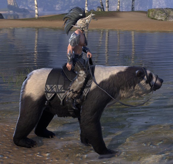 ESO Fashion | Masked Bear (Elder Scrolls Online)