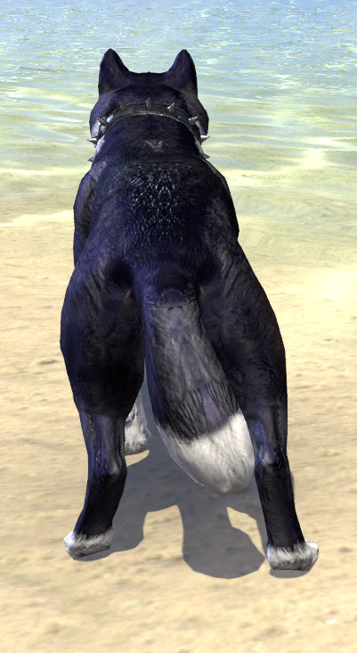 ESO Fashion | Black Mask Bear-Dog (Elder Scrolls Online)