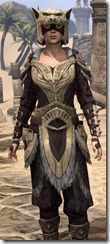 ESO Fashion | Skinchanger Rubedo Leather (Elder Scrolls Online)