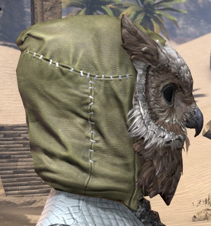 Eso Fashion Jhunal S Owl Mask Elder Scrolls Online