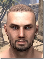 ESO Fashion | Beard with Battle Bars (Elder Scrolls Online)