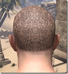 ESO Fashion | Covenant Warrior Face Tattoos (Elder Scrolls Online)