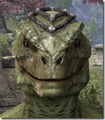 ESO Fashion | Dominion Lizard-Locks (Elder Scrolls Online)