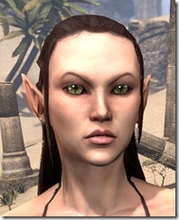 ESO Fashion | Dominion War-Locks (Elder Scrolls Online)